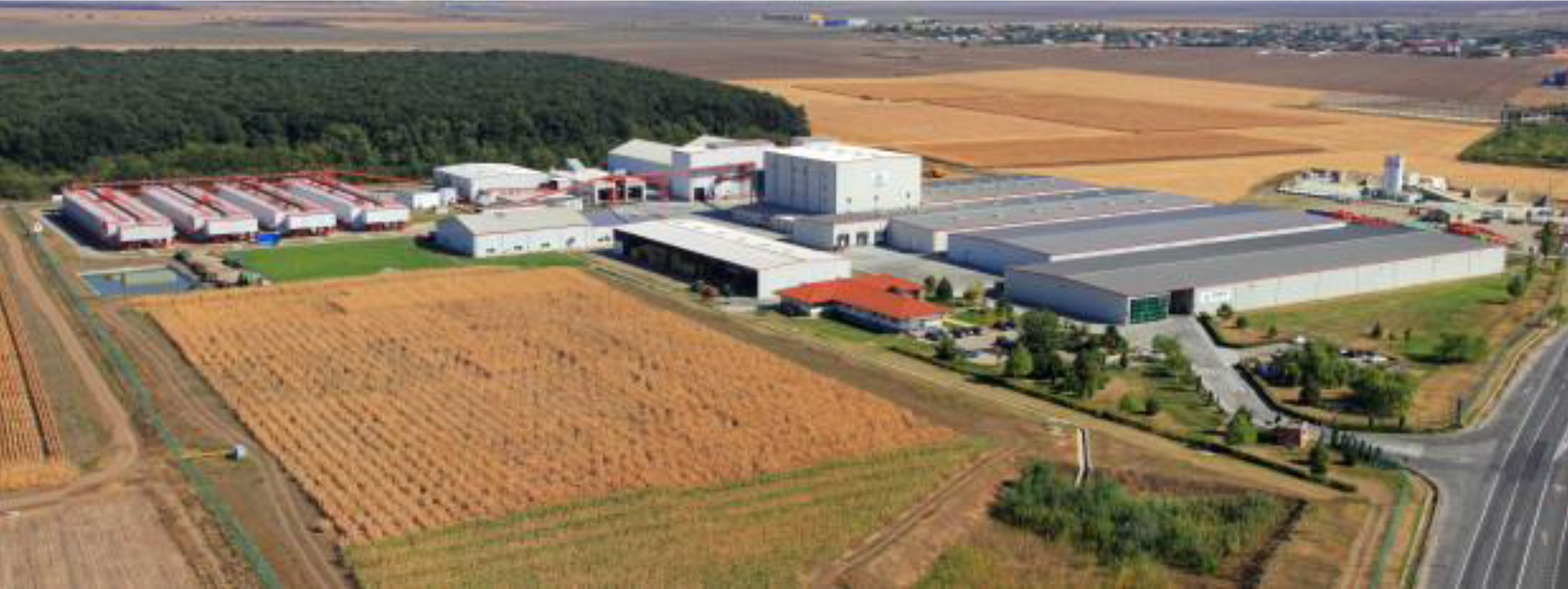 Hale metalice - RDI Grain Systems