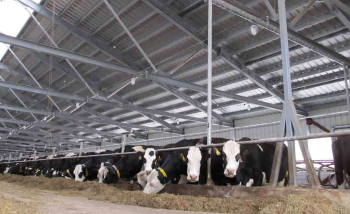 Hale metalice - RDI Grain Systems